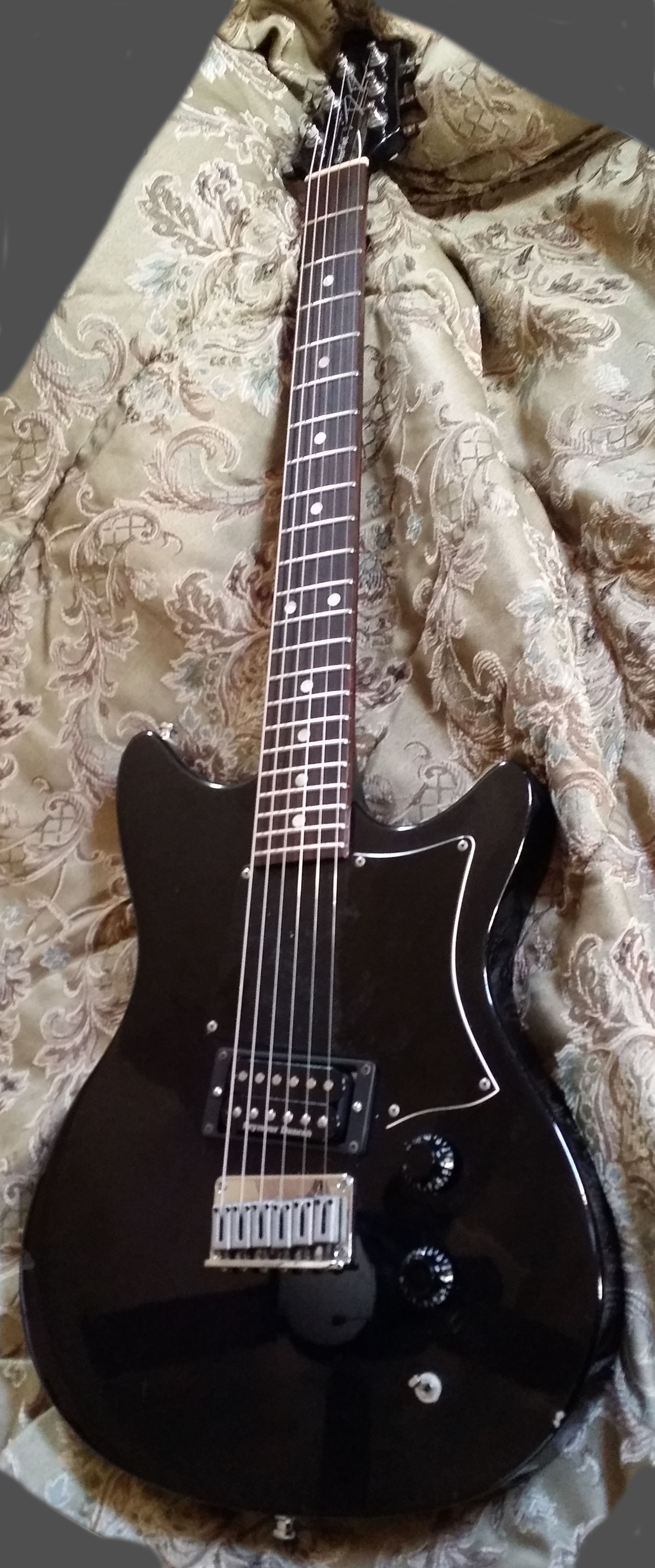 Heartfield Guitars - Specials